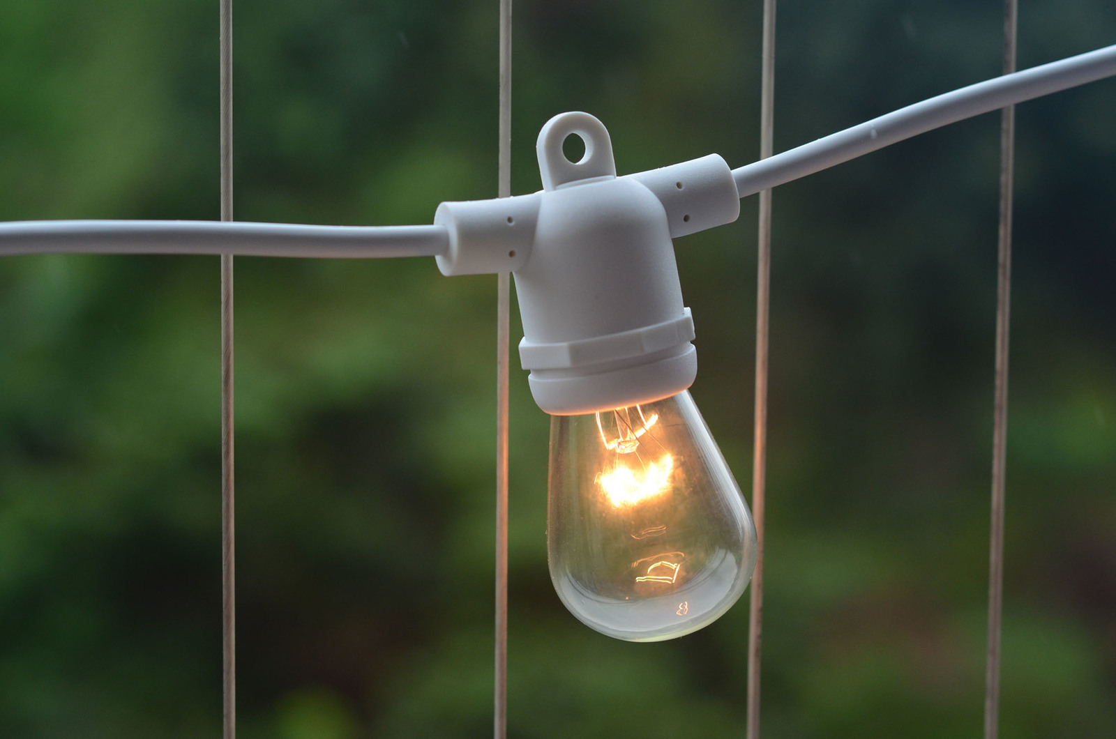 Outdoor Marquee Lights Black 20 Meter 20 Socket with Bulbs